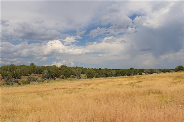 Locations Hub - Chancellor Ranch