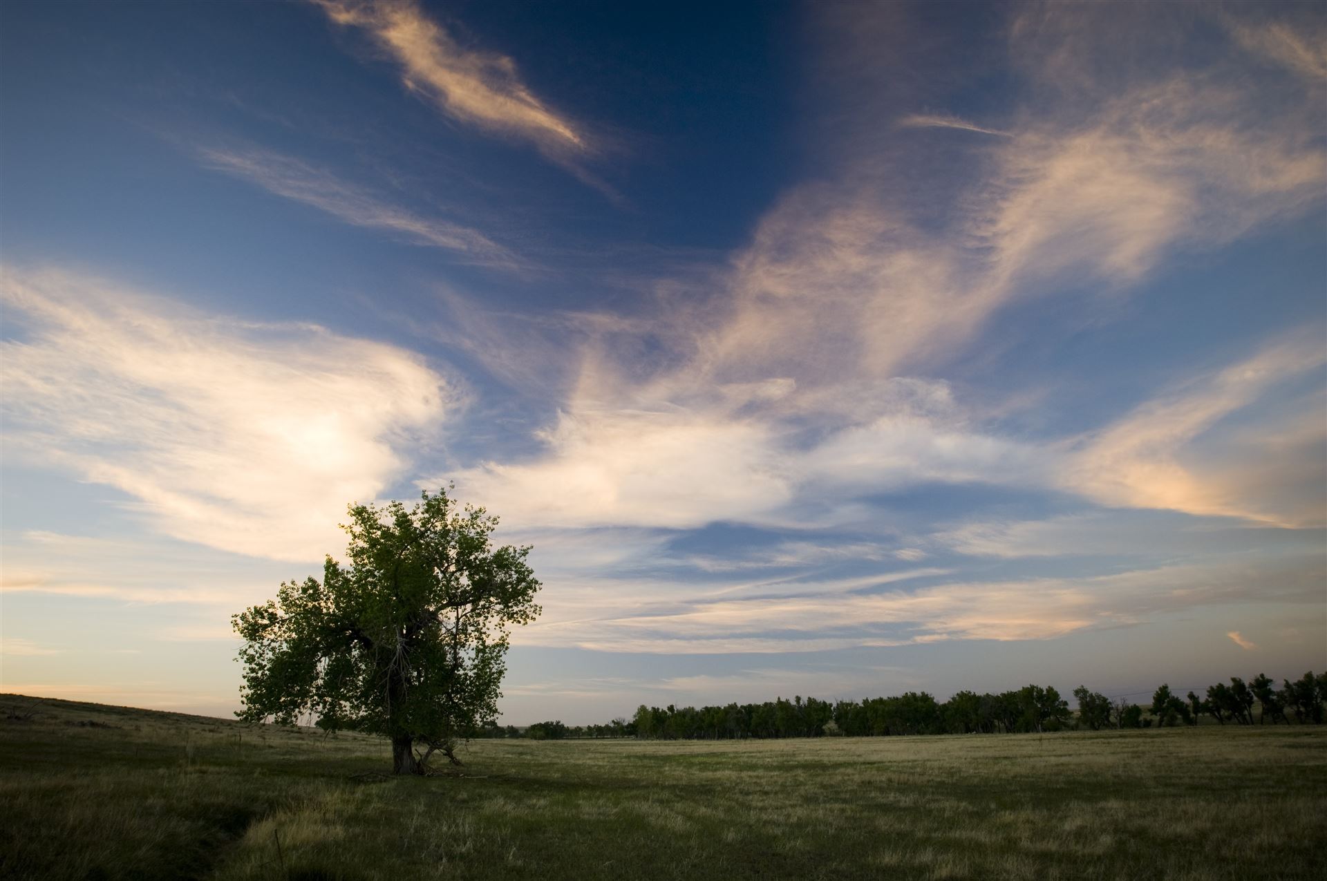 Locations Hub - Lowry Ranch-STL