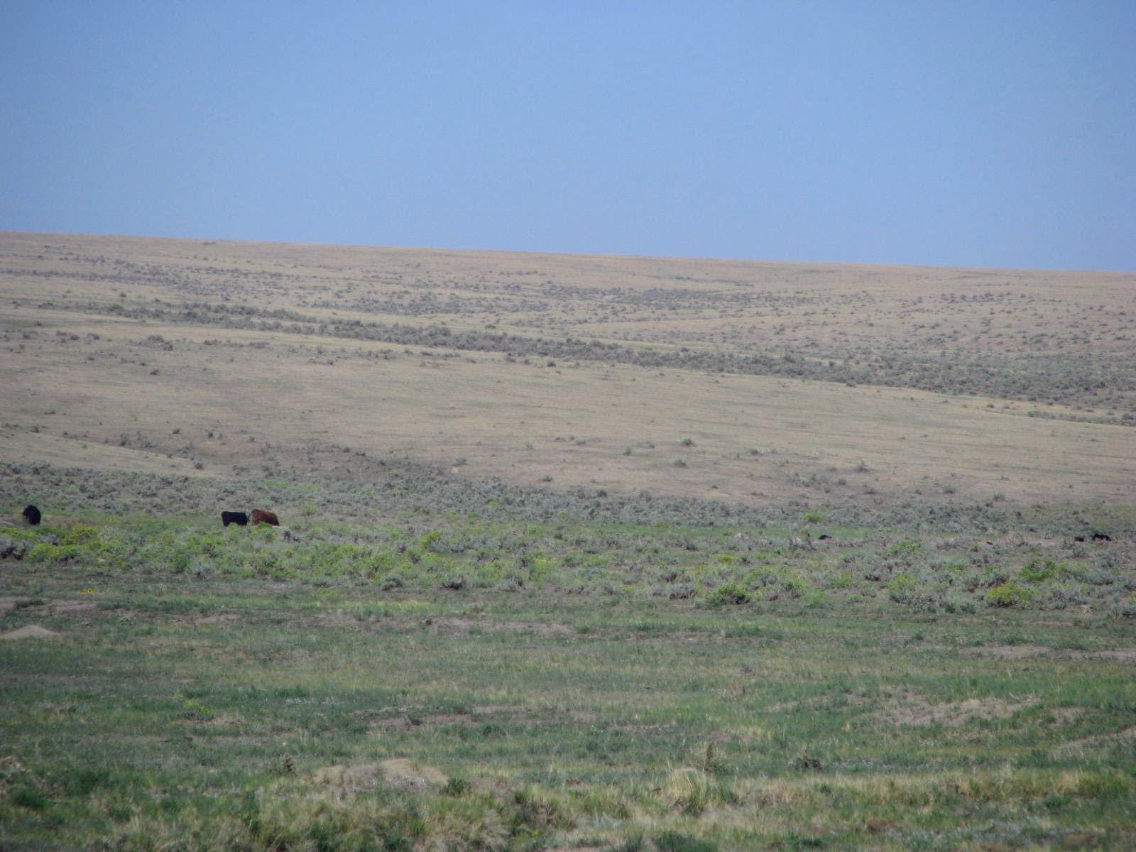 Locations Hub - Brett Gray Ranch- STL