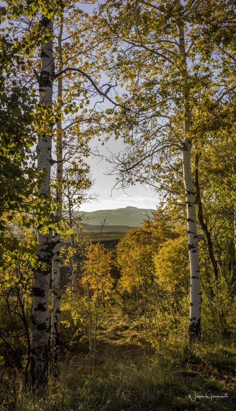 Locations Hub - La Joya Dulce