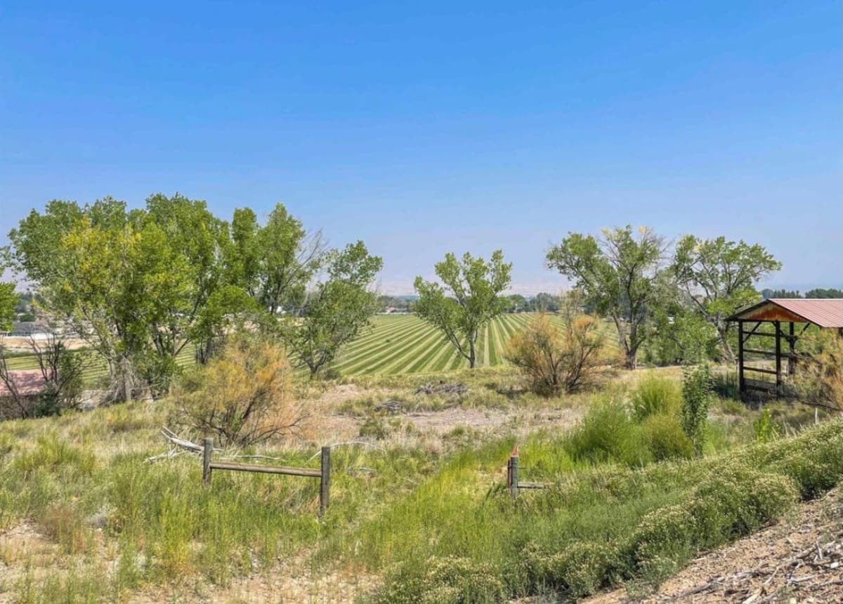 Locations Hub - Reay Small Farm