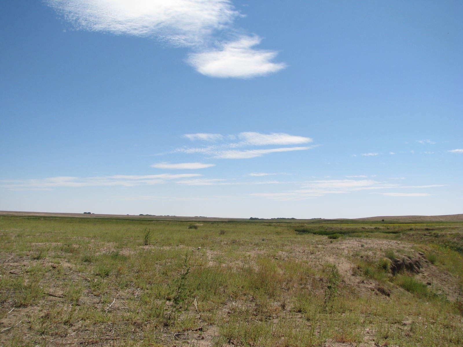 Locations Hub - Brett Gray Ranch- STL