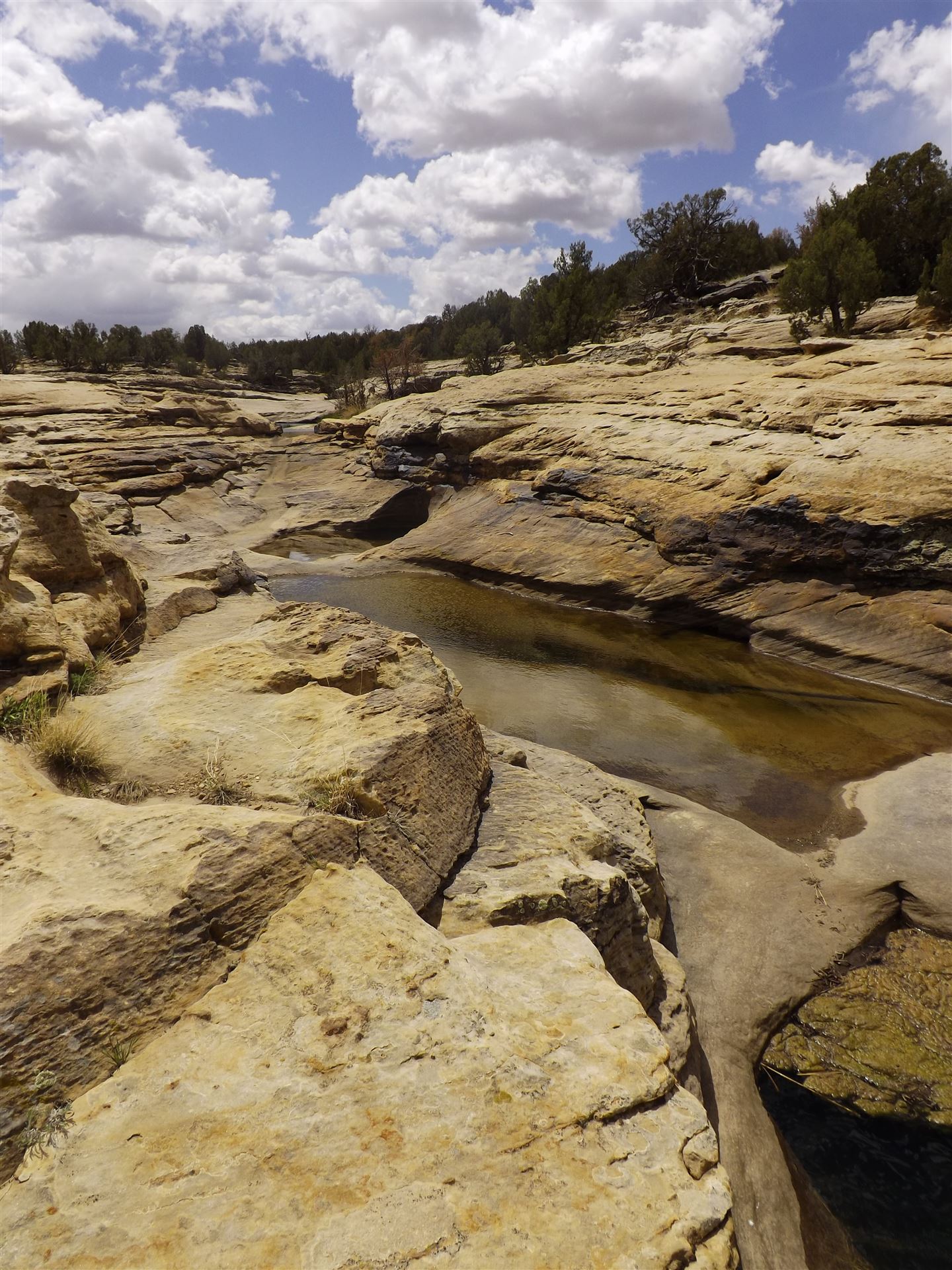 Locations Hub - Chancellor Ranch