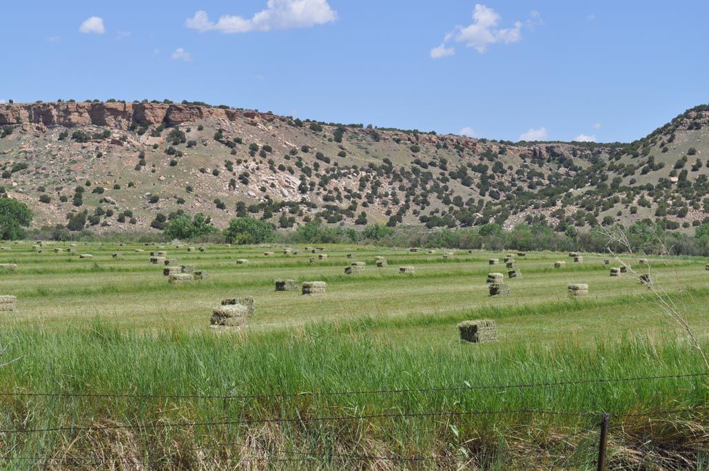 Locations Hub - Higbee Valley