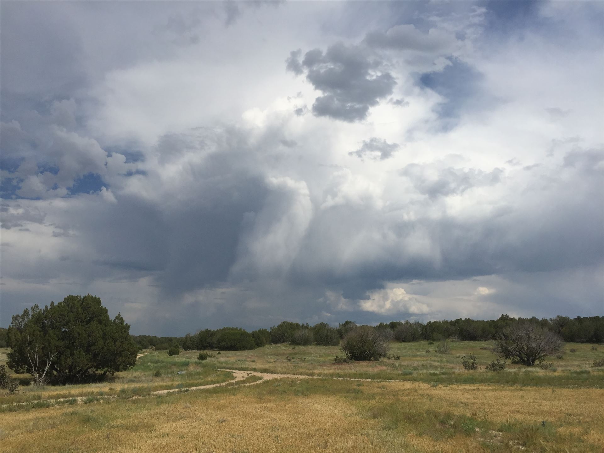 Locations Hub - Chancellor Ranch