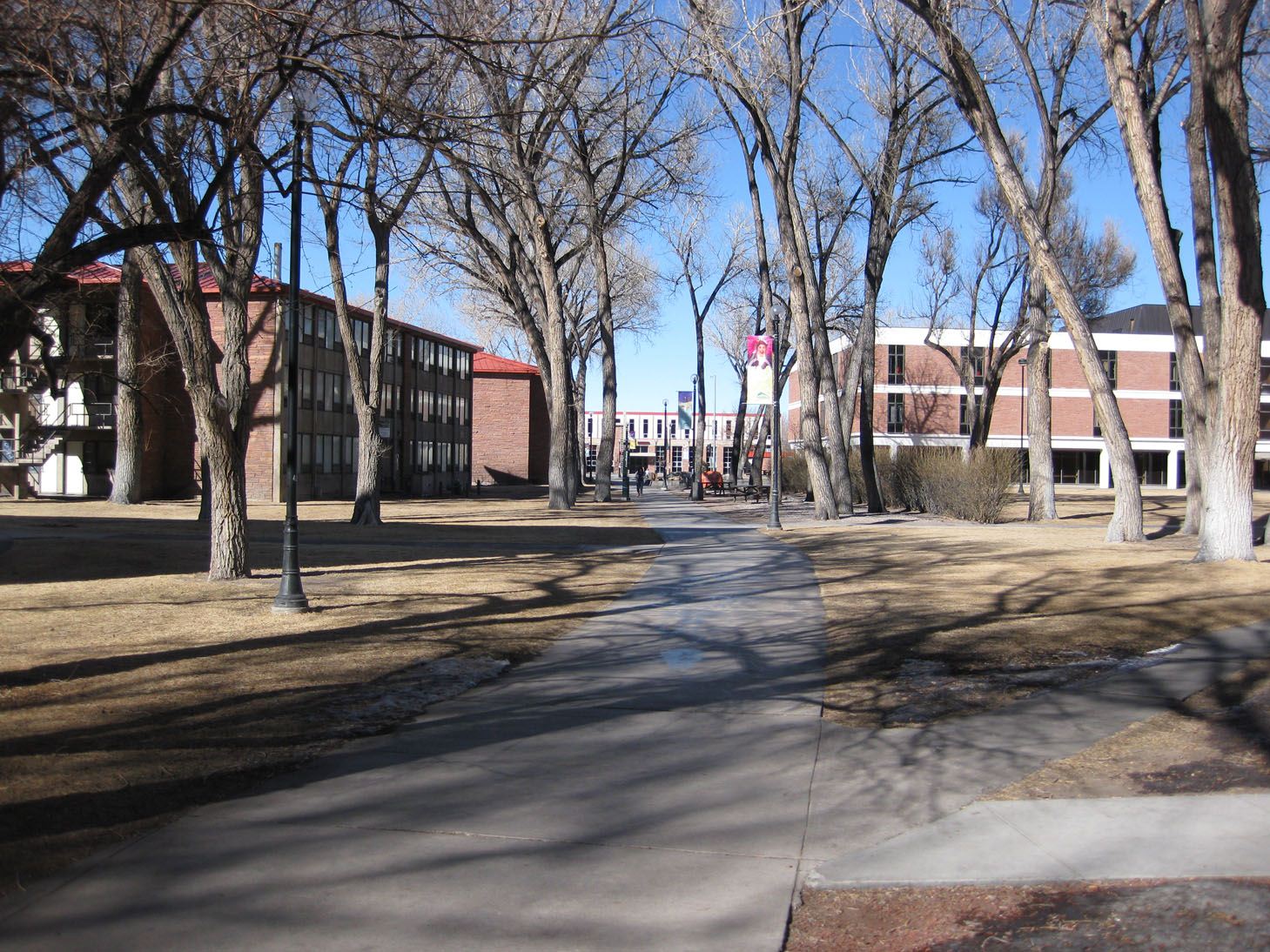 Locations Hub - Adams State College