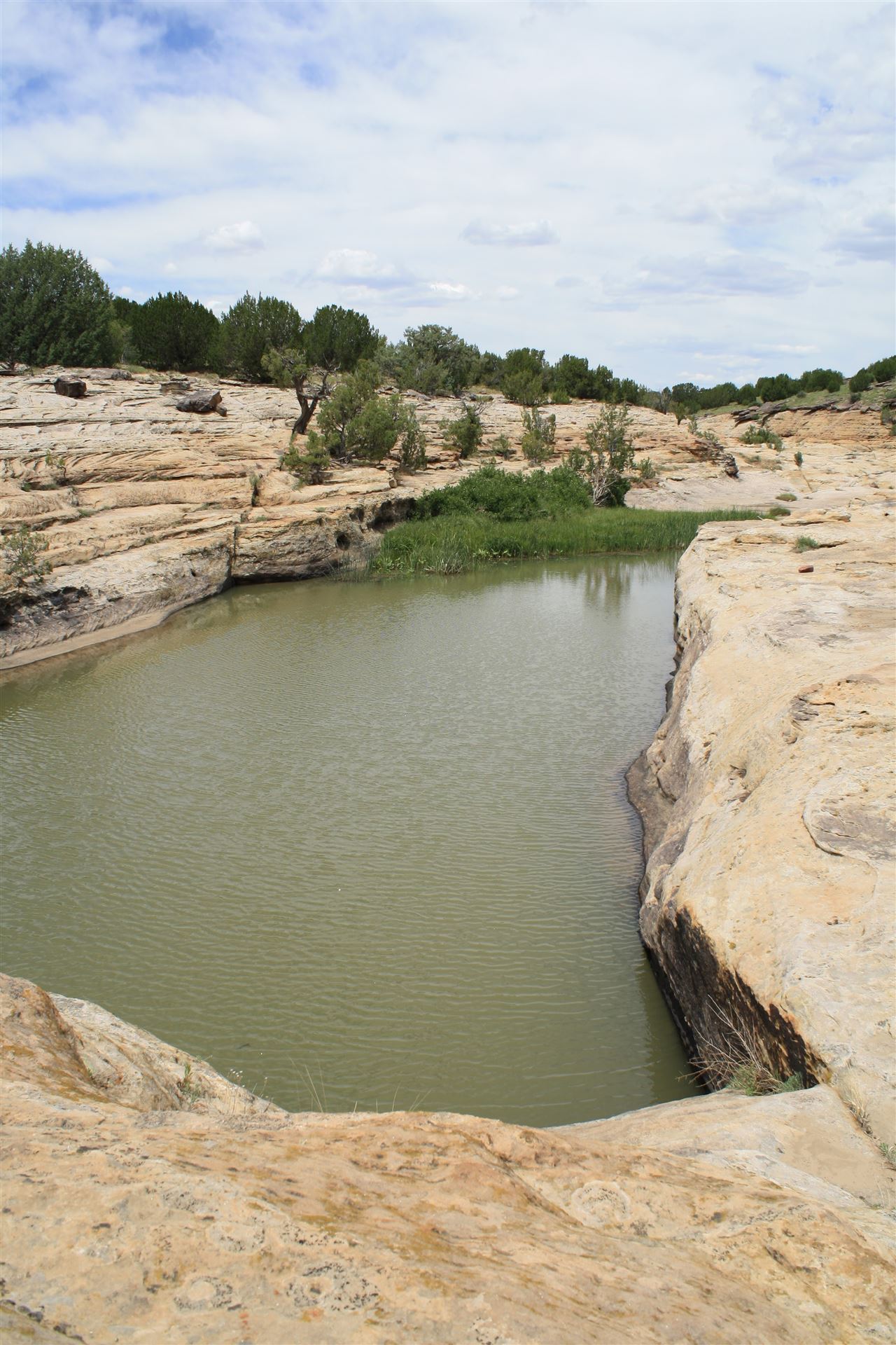 Locations Hub - Chancellor Ranch